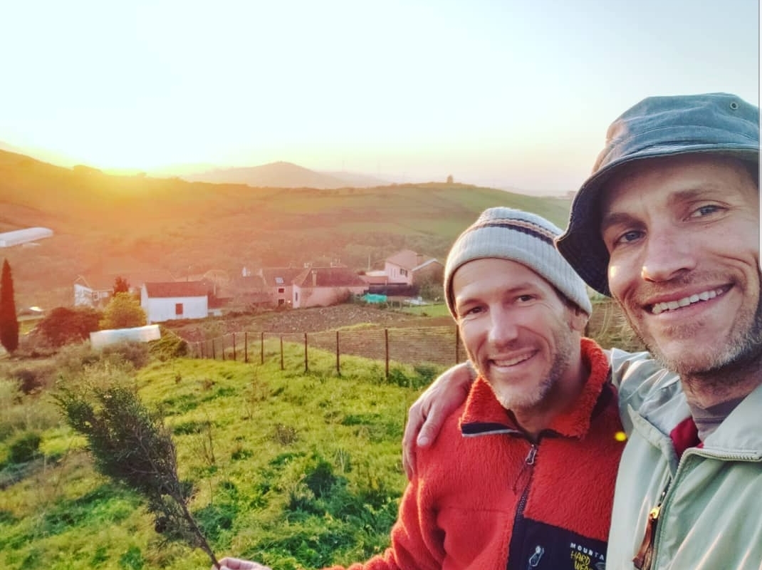 Conceptual Mandalas – Complex systems illustrated into curiously ...